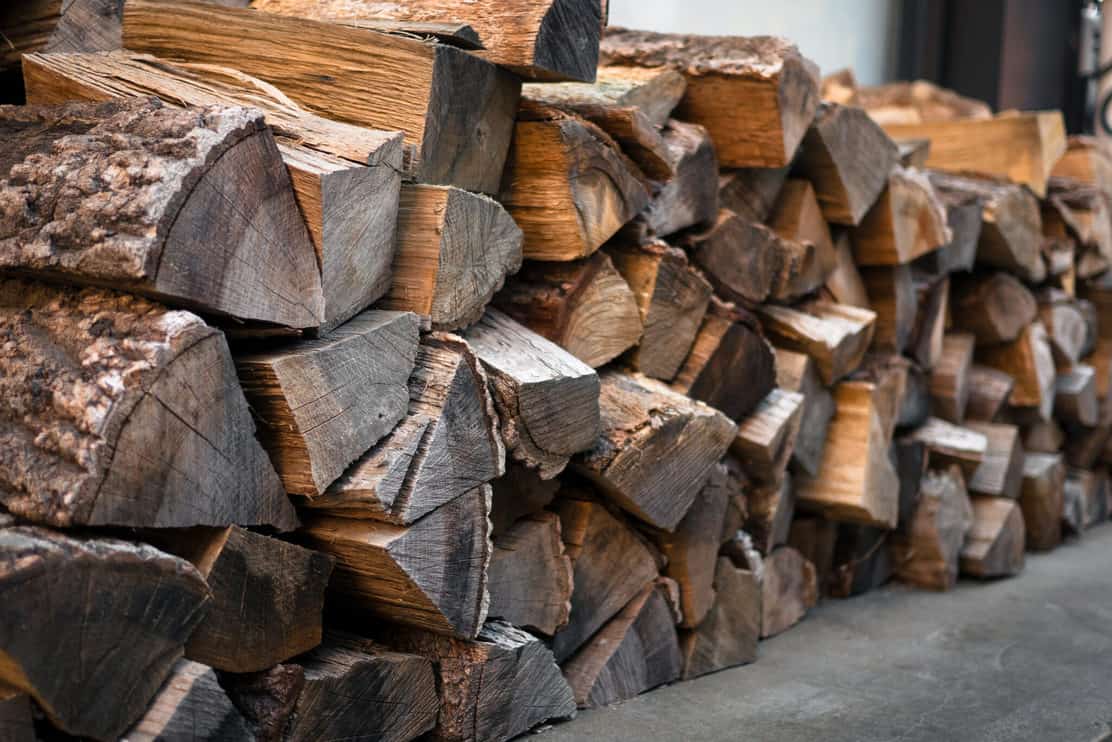 9 Best Fallen Oak Tree Uses (And What To Do With Them) - Tree Journey