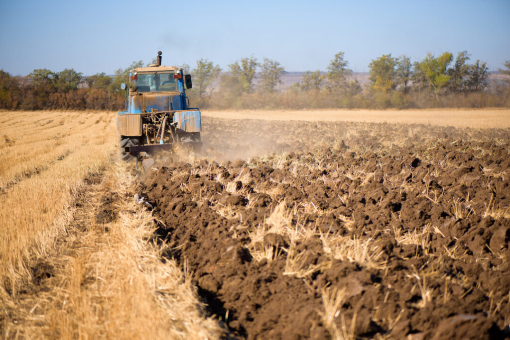 6 Reasons Why People Cut Down Trees (Deforestation Guide) - Tree ...